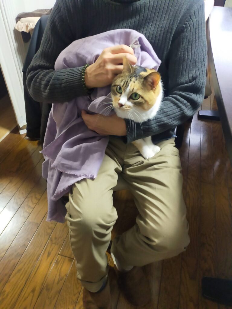 猫ちゃんだってCS60。 | cs60-pleia