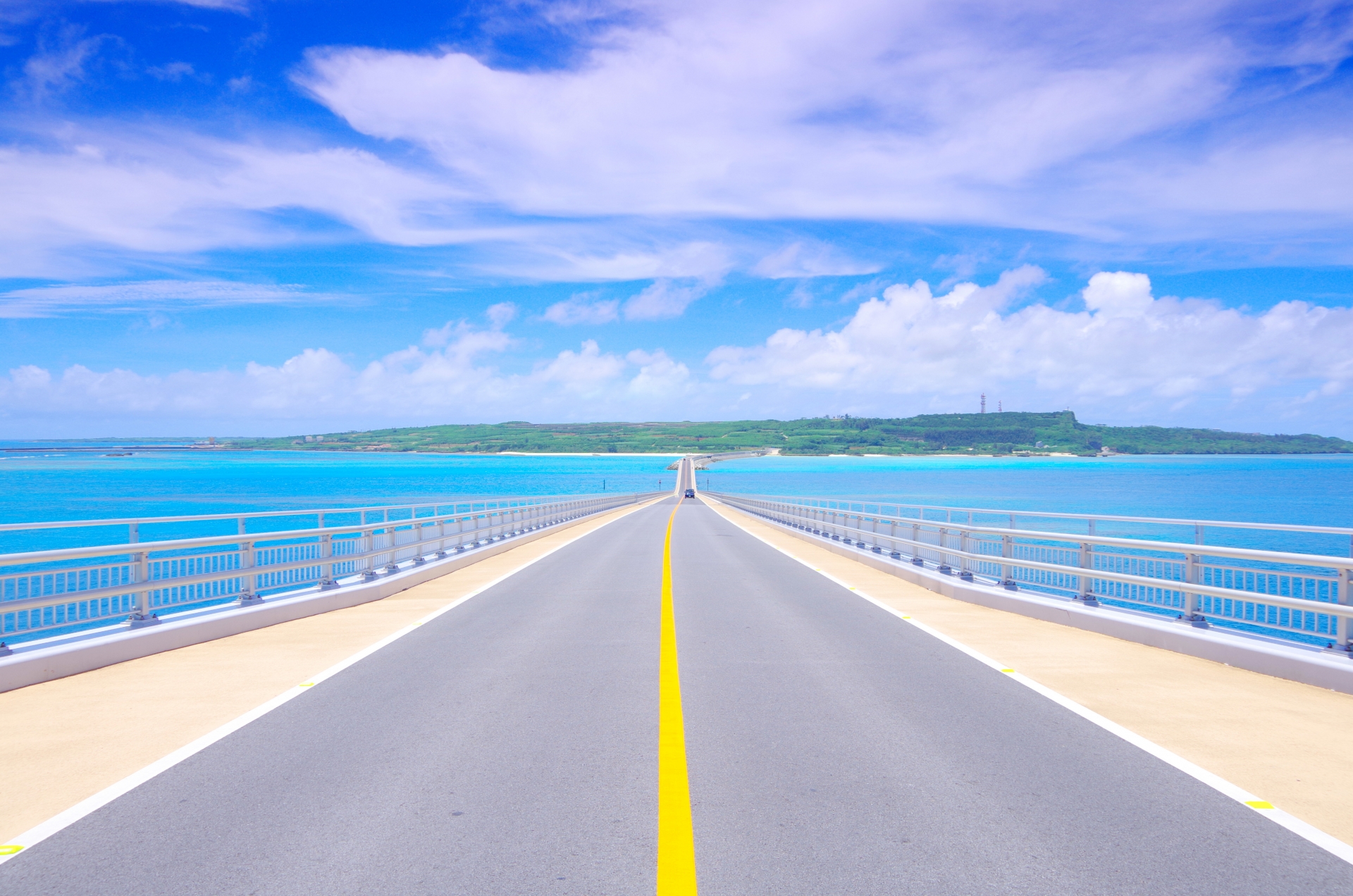 ブログ | cs60-pleia